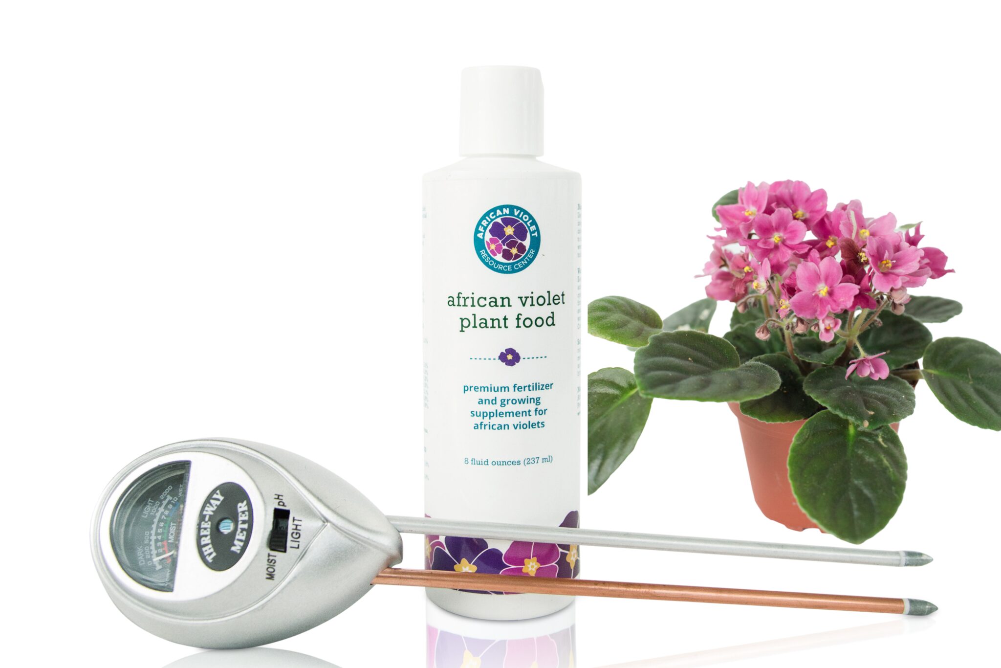 8 Tricks to Get Your African Violet to Bloom Again - AVRC