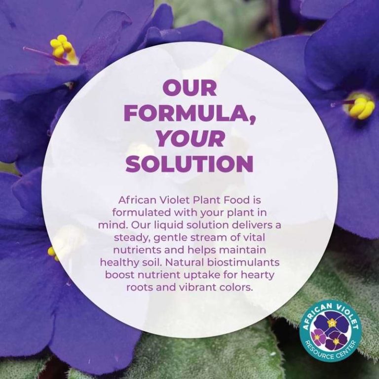 African Violet Plant Food | African Violet Resource Center