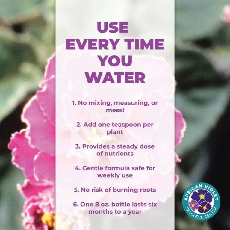 African Violet Plant Food | African Violet Resource Center