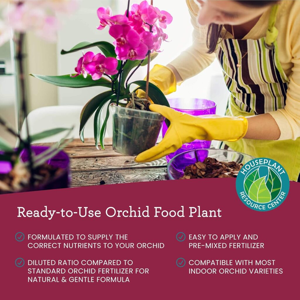 Premium Orchid Food Fertilizer Spray